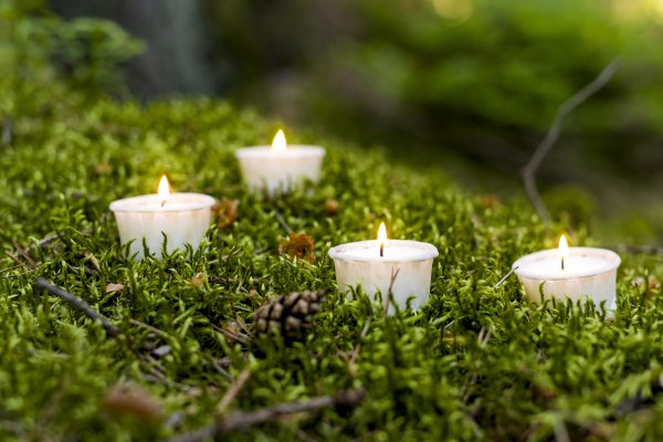 Light.One |Teelichter mit Papierhülle | 100% BIO | NEU